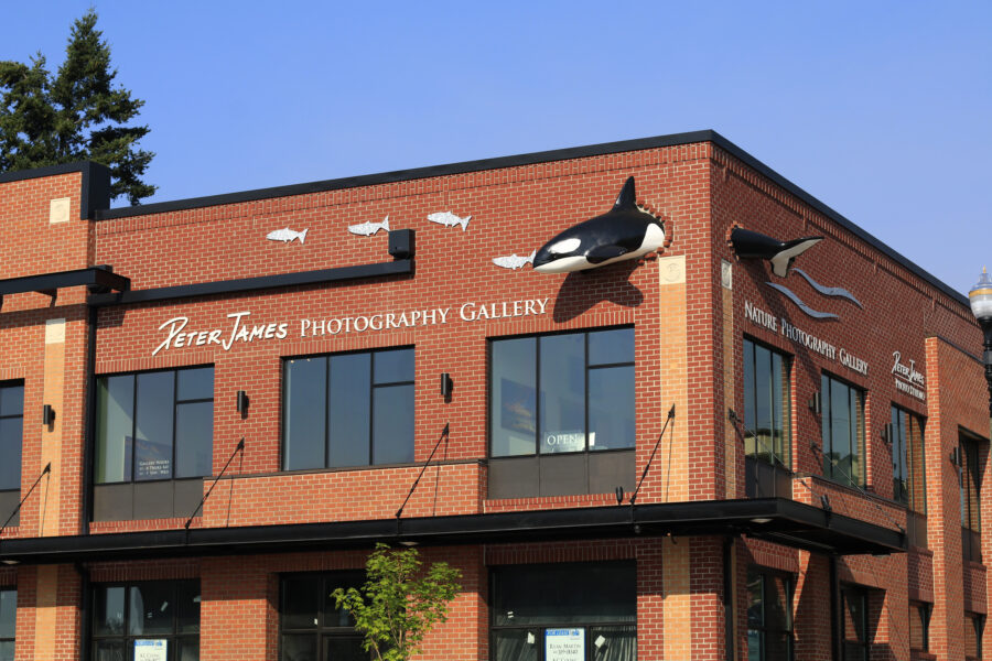 ORCA BUILDING - NW Custom Signs